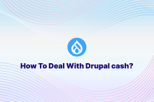 How To Deal With Drupal Cache ? | 俺のDrupal(ドルーパル) | ORE NO DRUPAL