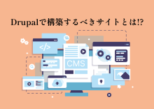 【必見】Drupalで構築するべきサイトとは！？ | 俺のDrupal(ドルーパル) | ORE NO DRUPAL